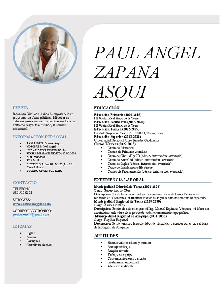 Perfil Profesional de Paul Angel Zapana | PDF