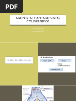 Diapositivas. FÁRMACOS INOTRÓPICOS | PDF | Farmacología | Fisiología ...