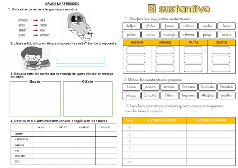 Sustantivo Comun y Propio y Ciencia | PDF | Estudios de idiomas ...