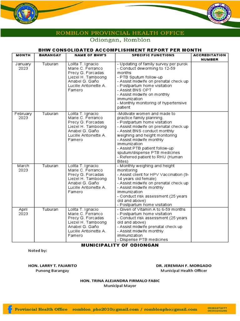 BHW Consolidated Accomplishment Report Per Month | PDF | Midwife ...