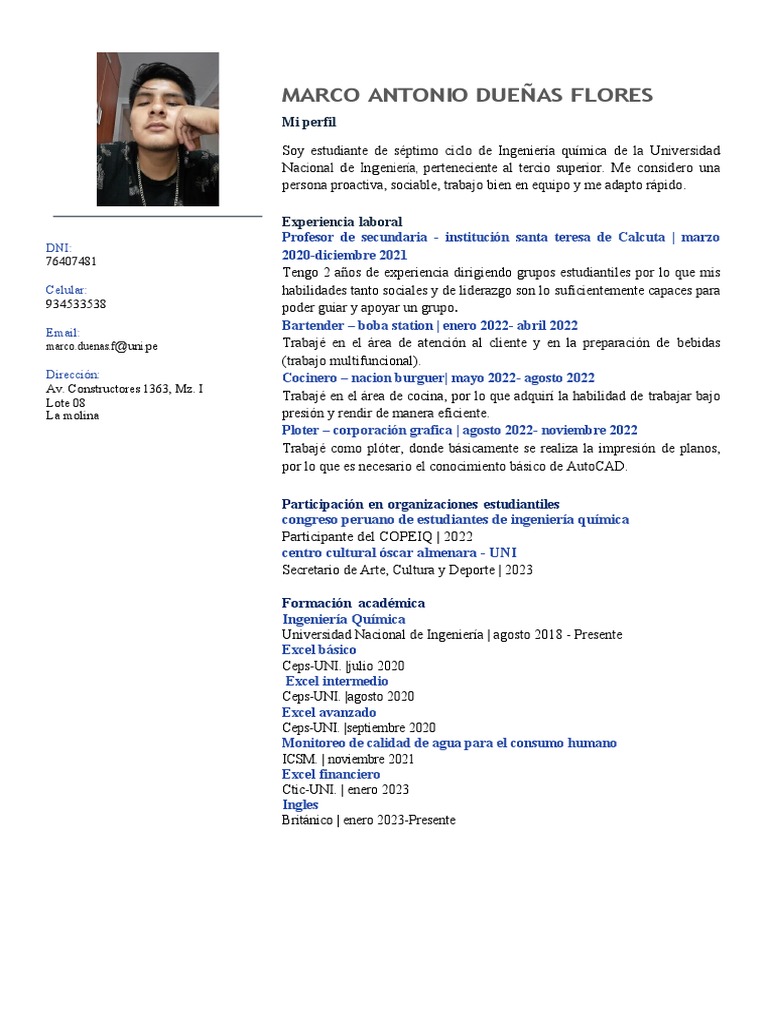 CV Marco Dueñas Flores Actualizado | PDF