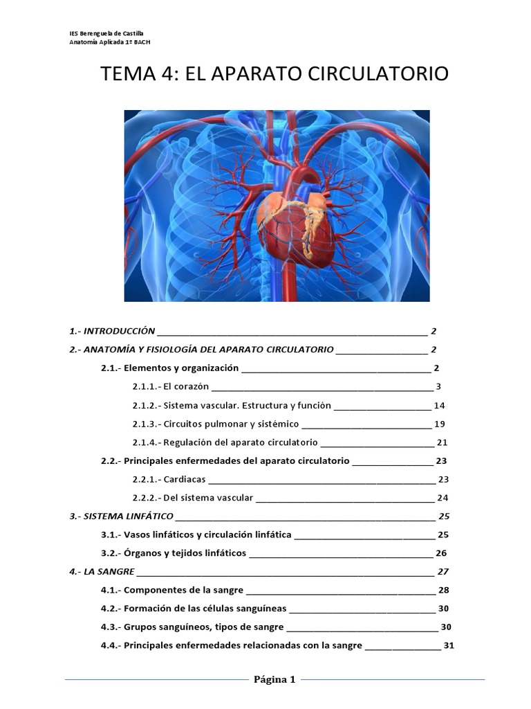 Tema 4: El Aparato Circulatorio: IES Berenguela de Castilla Anatomía ...