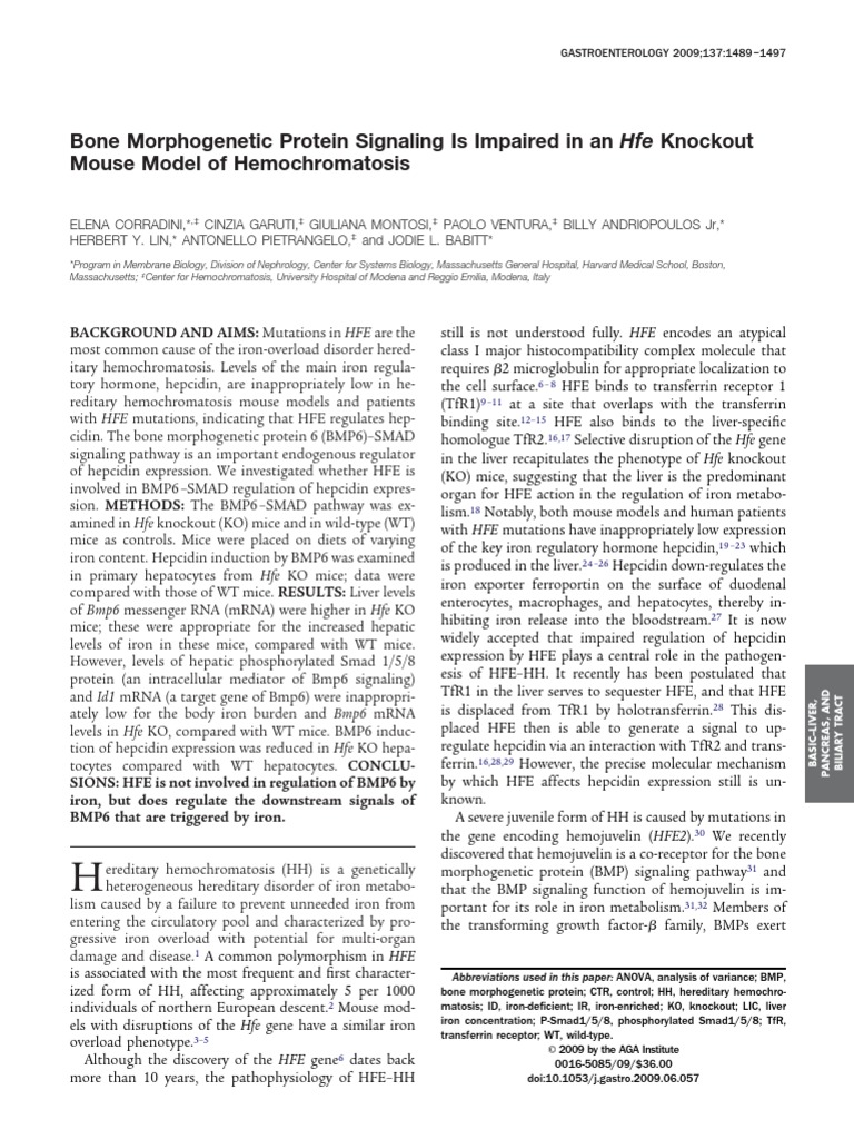 Bone Morphogenetic Protein Signaling Is Impaired I | PDF | Gene ...