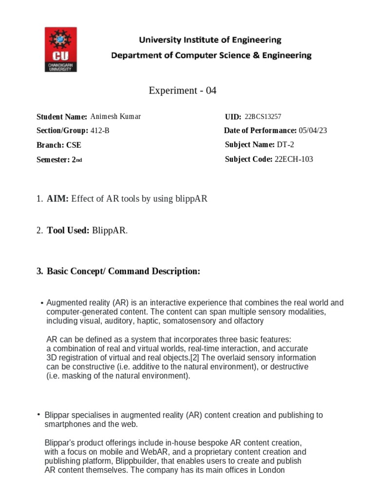 DT Exp 04 BlippAR | PDF