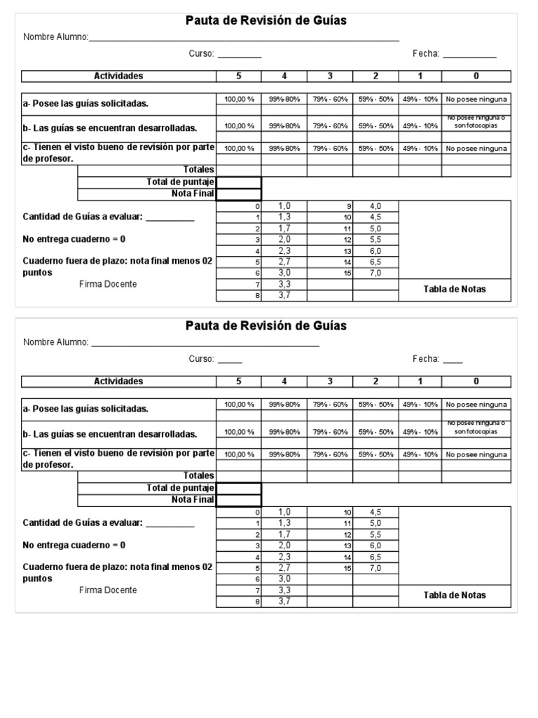 Pauta Revisión Guías | PDF