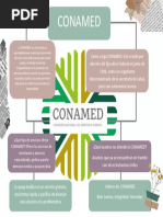 Mapa Mental Ley General de Salud | PDF | Trabajo Social | Cuidado de la salud
