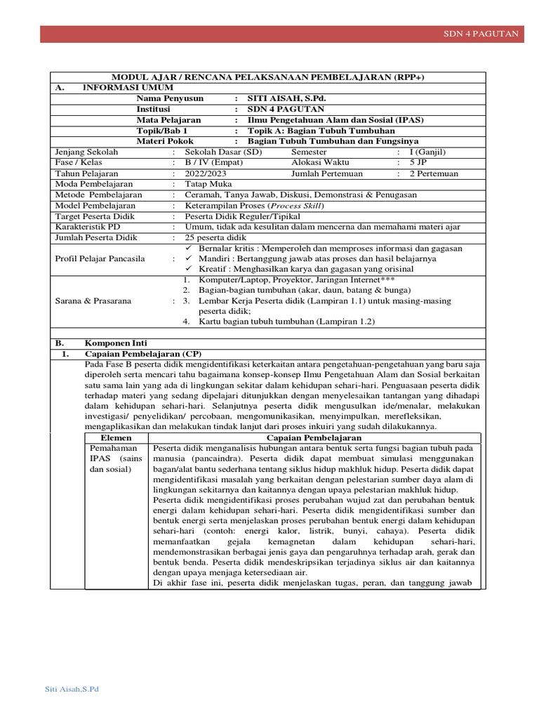 RPP Berdiferensiasi Kelas 4 | PDF