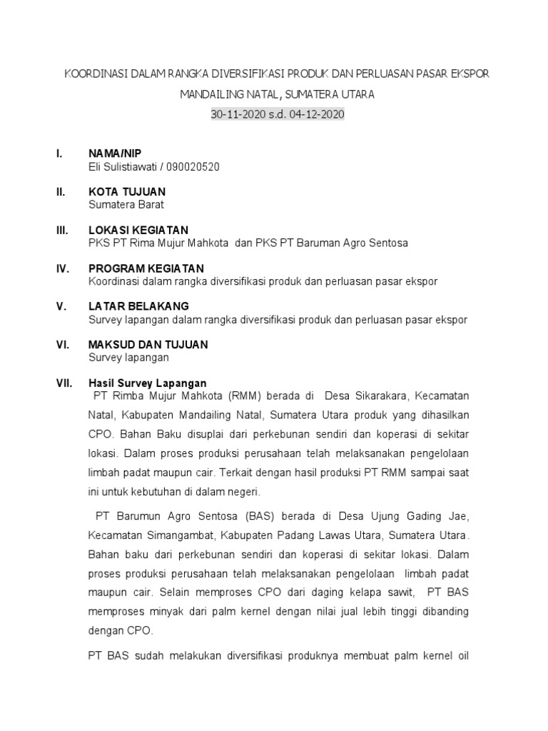 Lap SPPD Rapat Koordinasi Survey PT BAS Dan PT RMM | PDF | Bisnis
