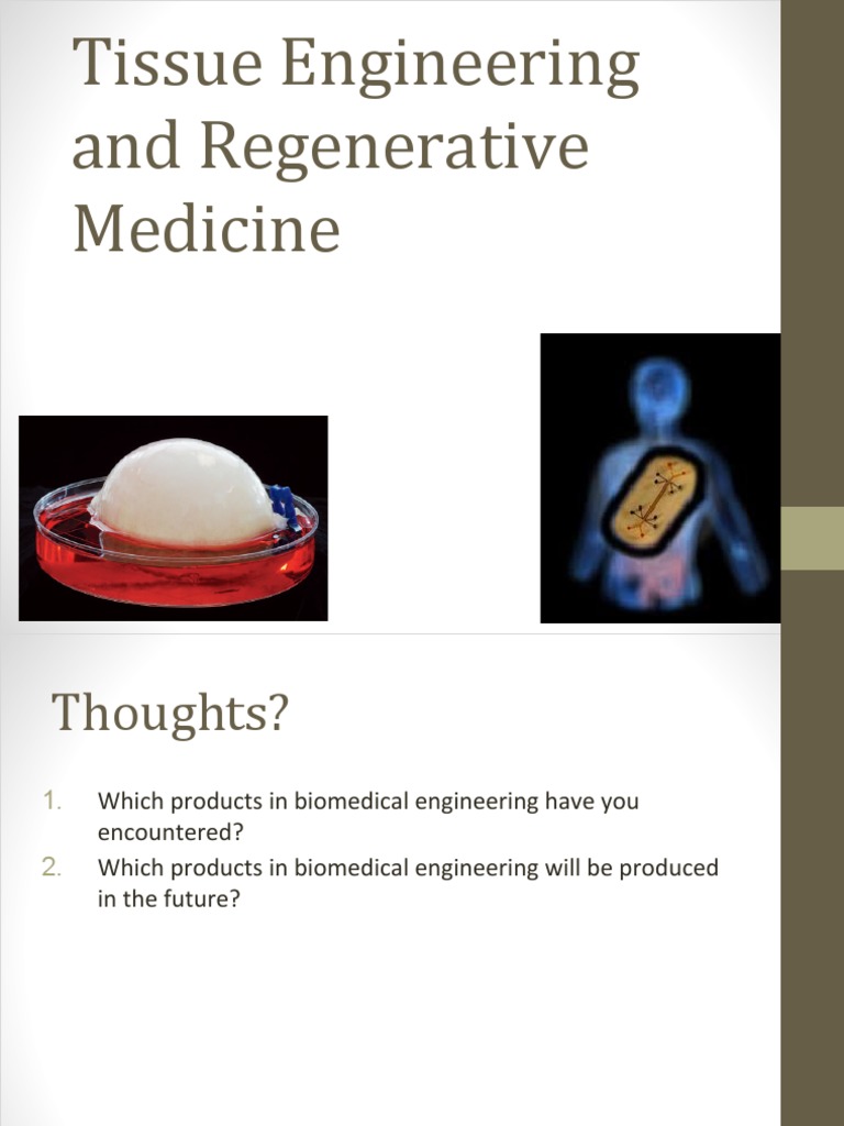 Tissue Engineering | PDF