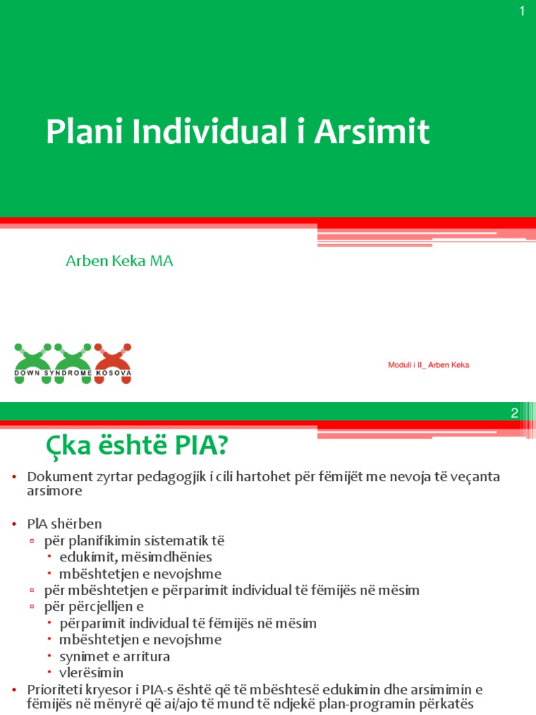 Plani Individual Arsimit | PDF