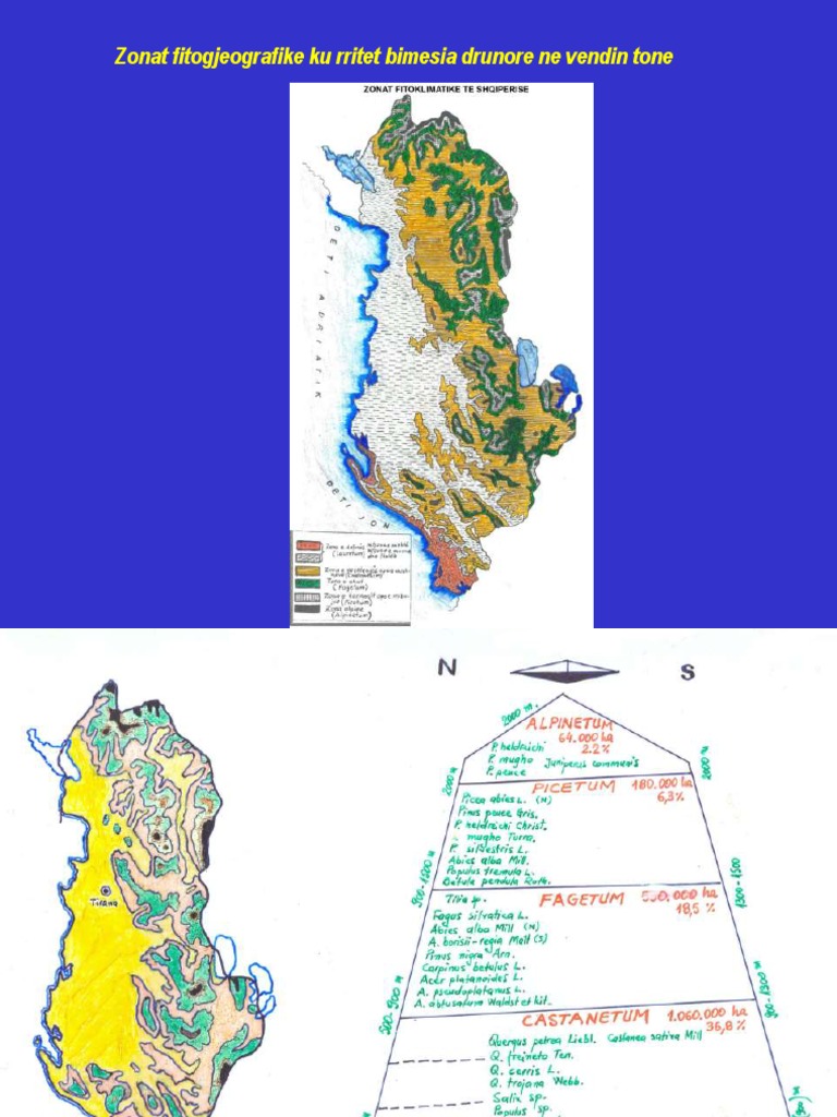 Zonat Fitogjeografike | PDF