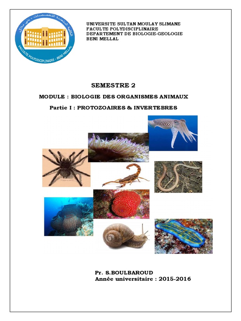 Biologie Animale 1 | PDF