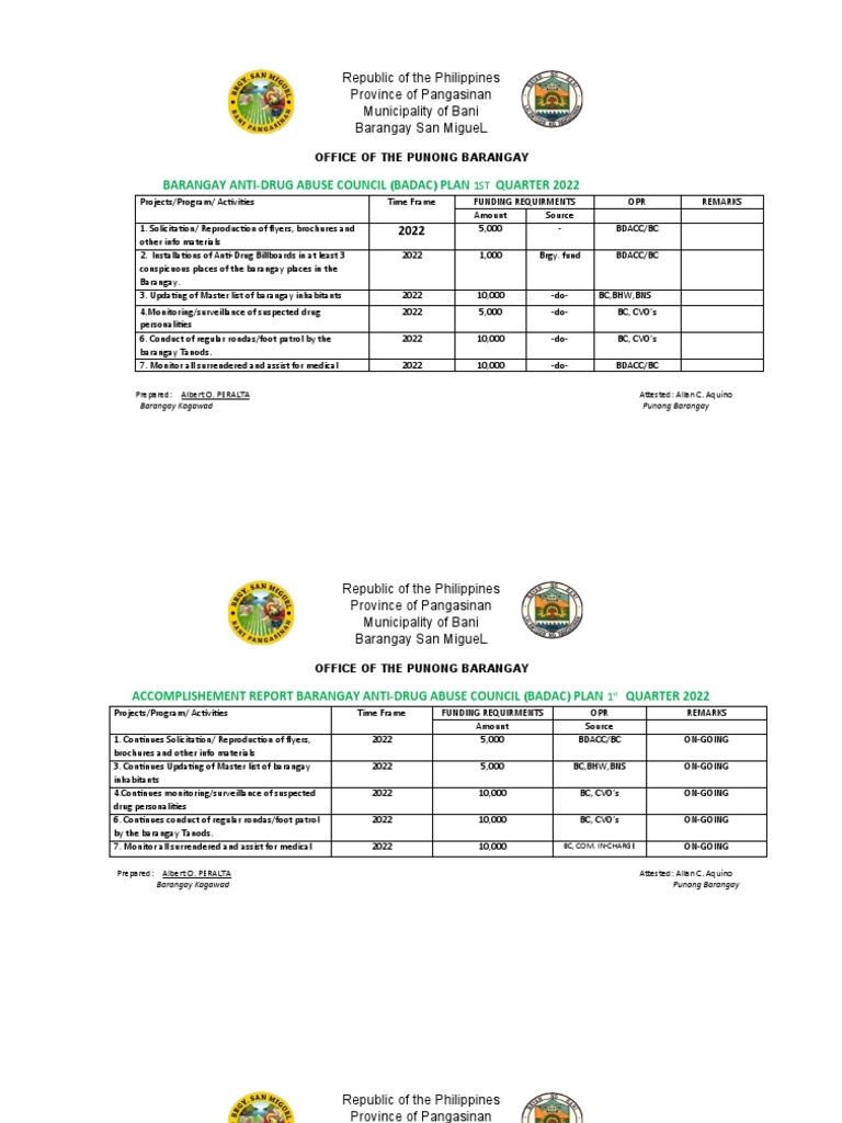 Badac Action Plan 2023 | PDF
