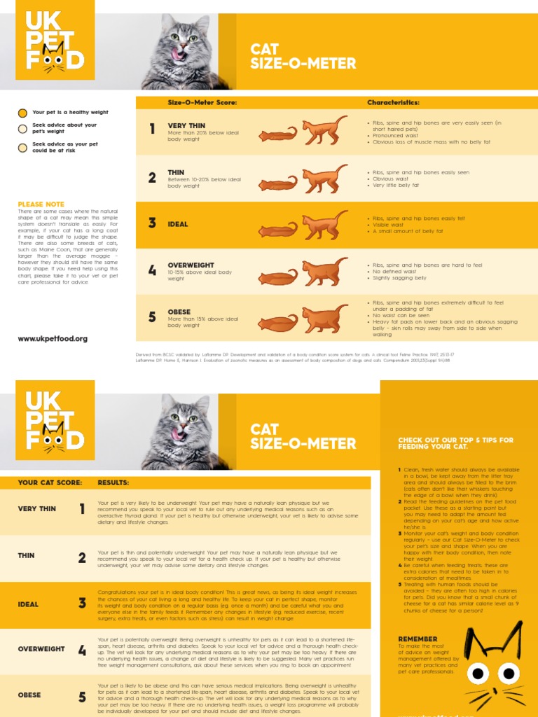 10753-UKPF-Cat-Size-O-MeterAW | PDF | Obesity | Dieting