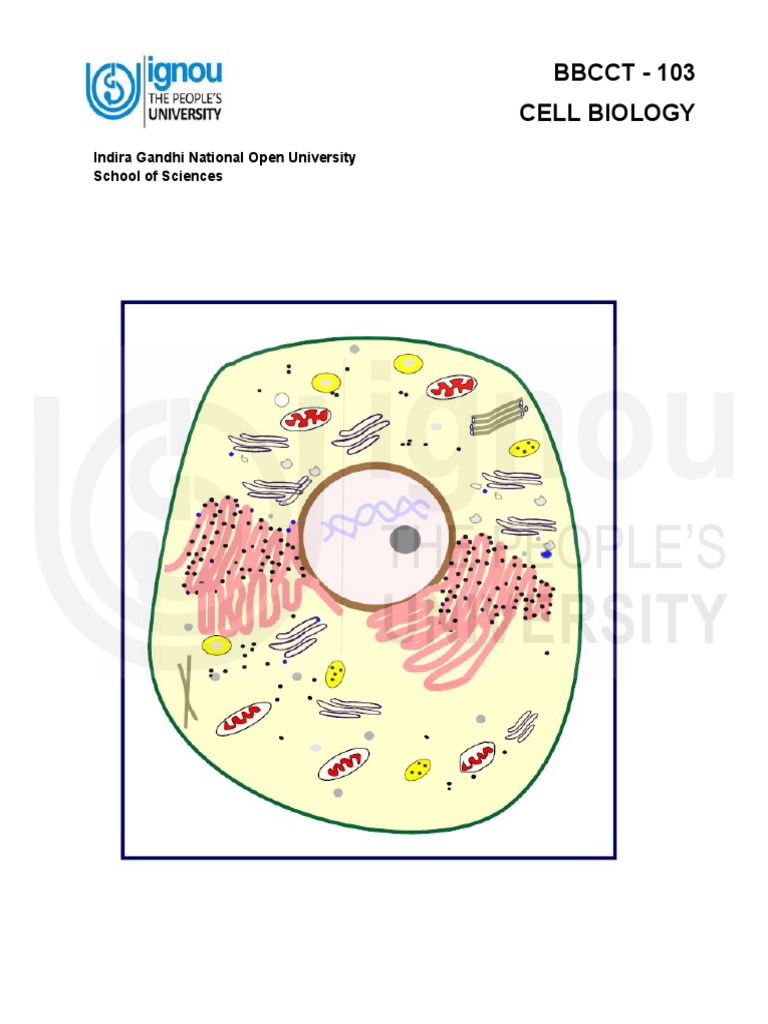Block 1 | PDF | Cell (Biology) | Bacteria