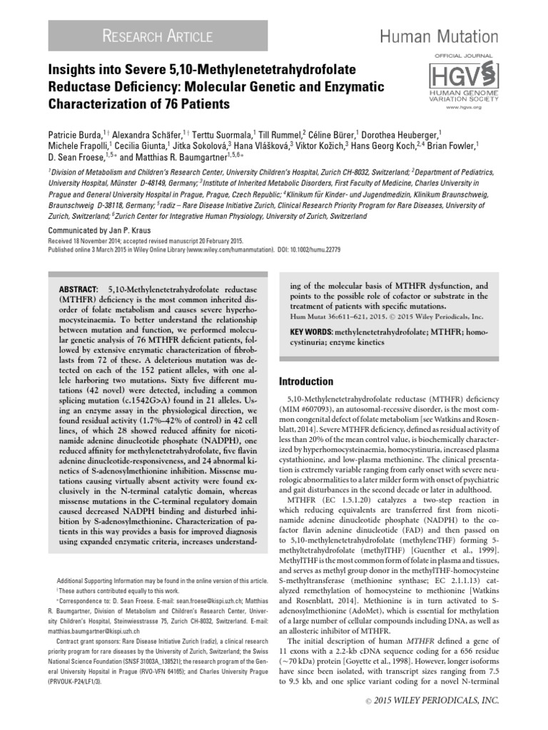 BURDA Insights into Severe 5,10-Methylenetetrahydrofolate Reductase ...