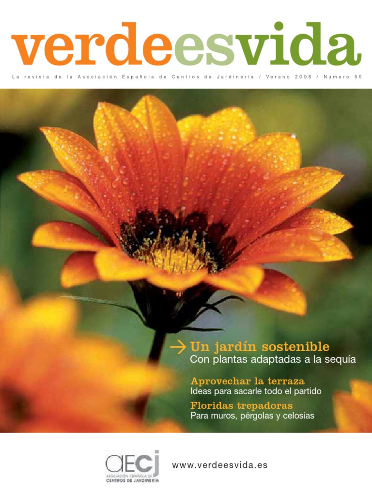 210-Verde-Es - Vida-55 - B | PDF | Agua | Suelo