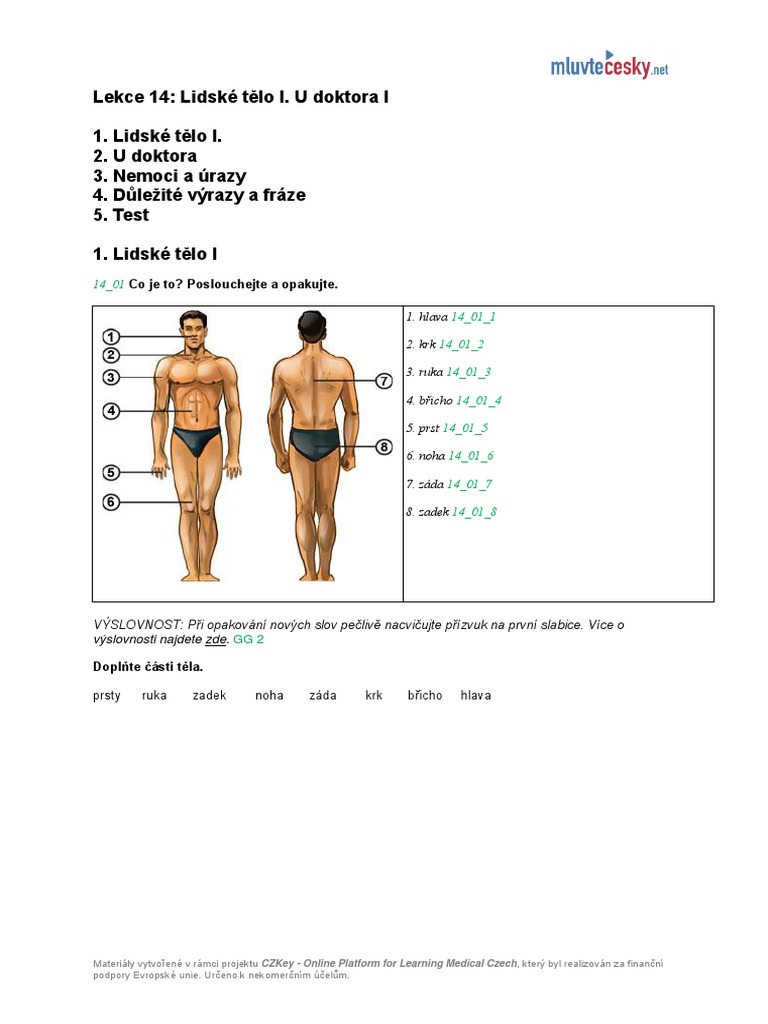 Czkey - 14 - Lekce - Lidske Telo I U Doktora I | PDF