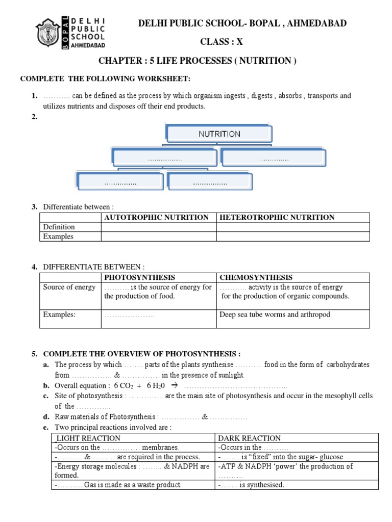Class X Biology Worksheet | PDF | Nutrition | Diet & Nutrition
