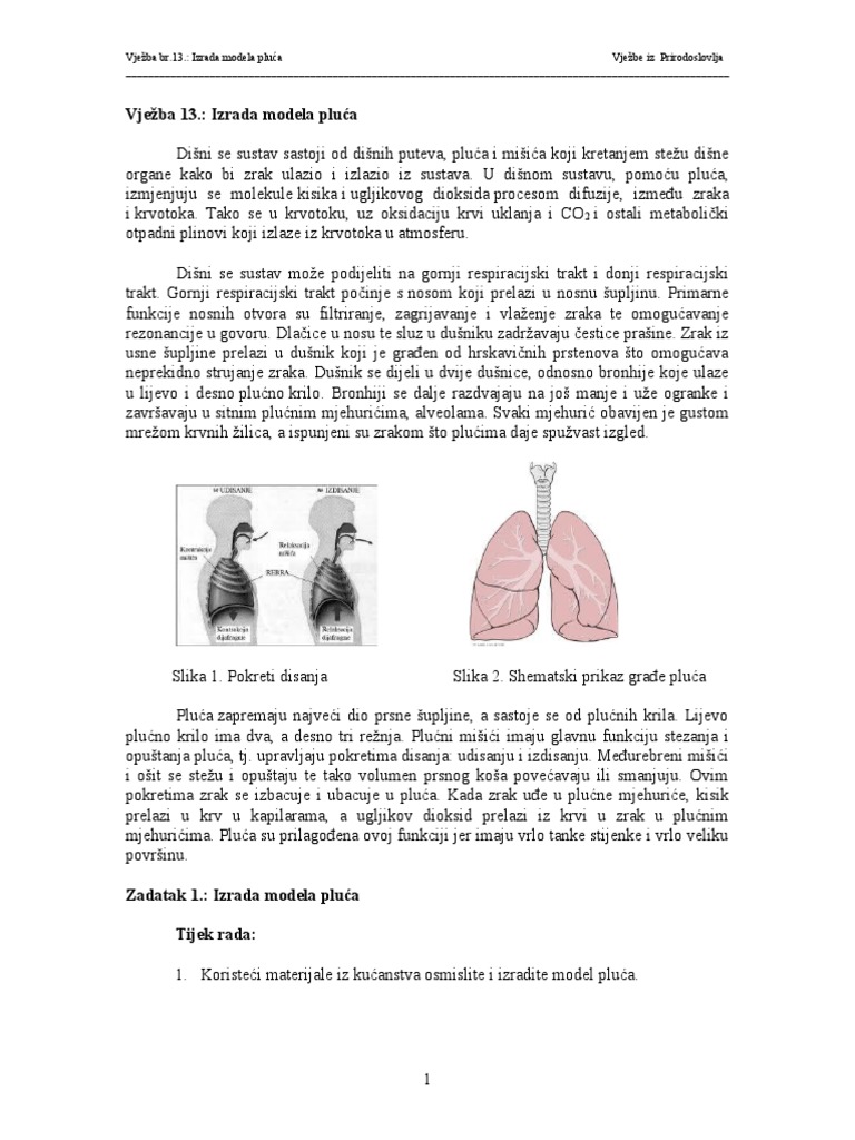 Vjezba 13 - Izrada Modela Pluca | PDF