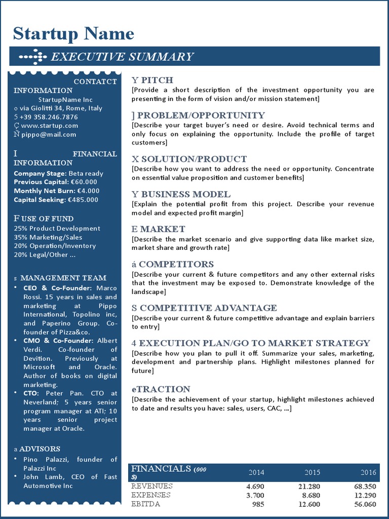 Executive Summary Template | PDF