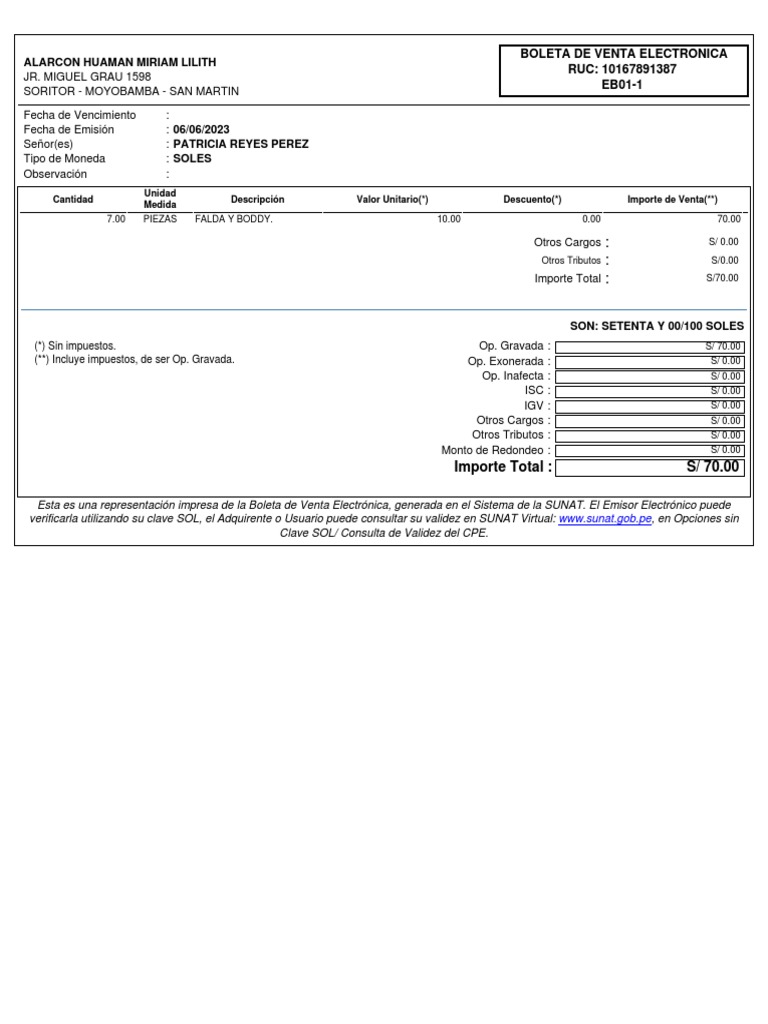 Boleta de Venta Electrónica de Ropa | PDF