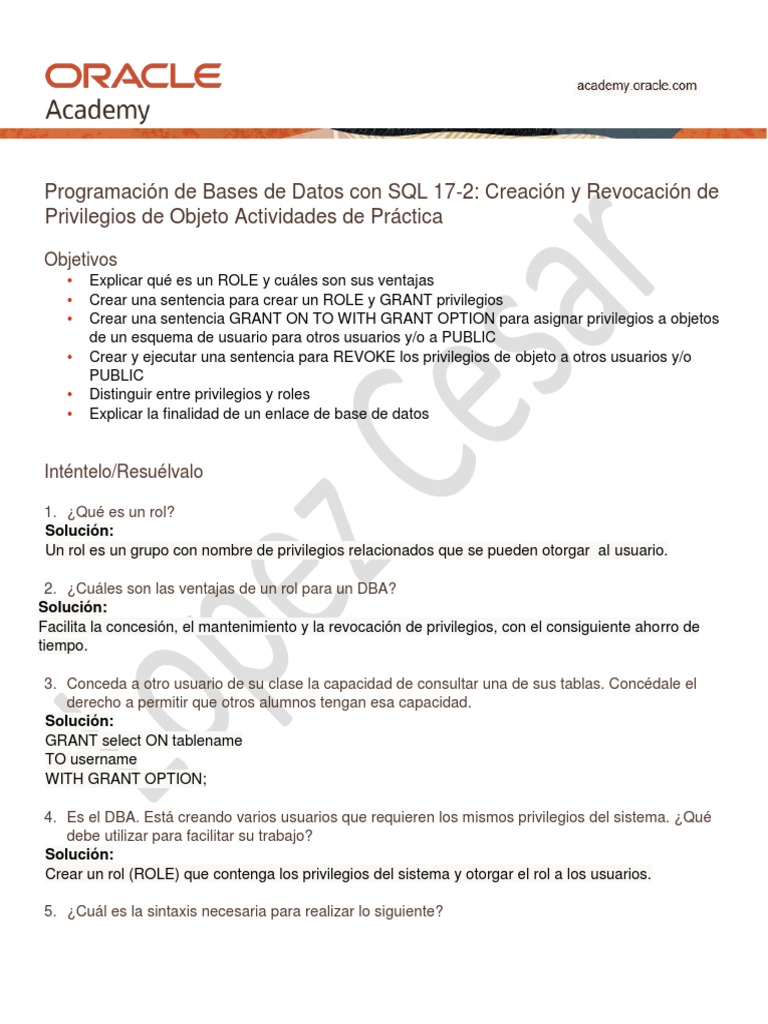 DP 17 2 Practice espLLC | PDF