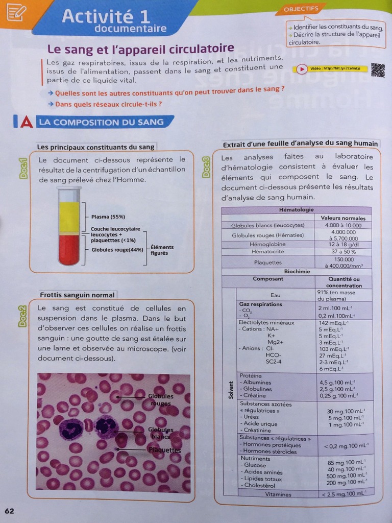 Le Sang Et La Circulation Sanguine Chez L Homme Cours Manuel | PDF