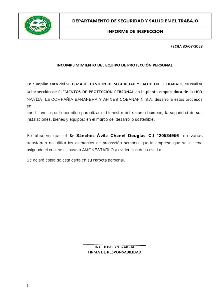 Informe de Mala Utilizacion de EPP | PDF