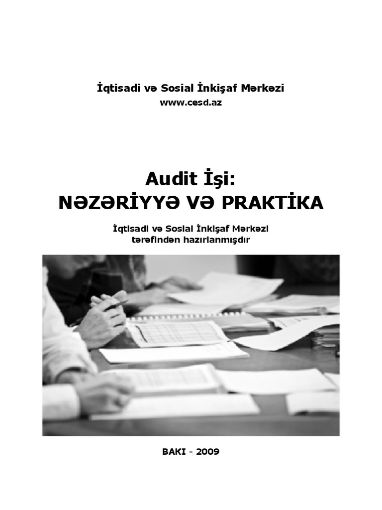audit2 | PDF