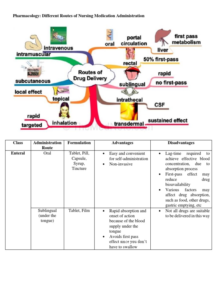Different Routes of Nursing Medication Administration | PDF | Injection ...