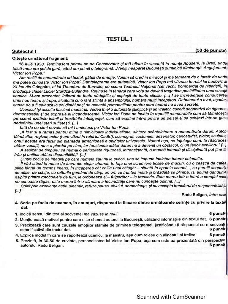 Teste Romana Culegere Bac | PDF