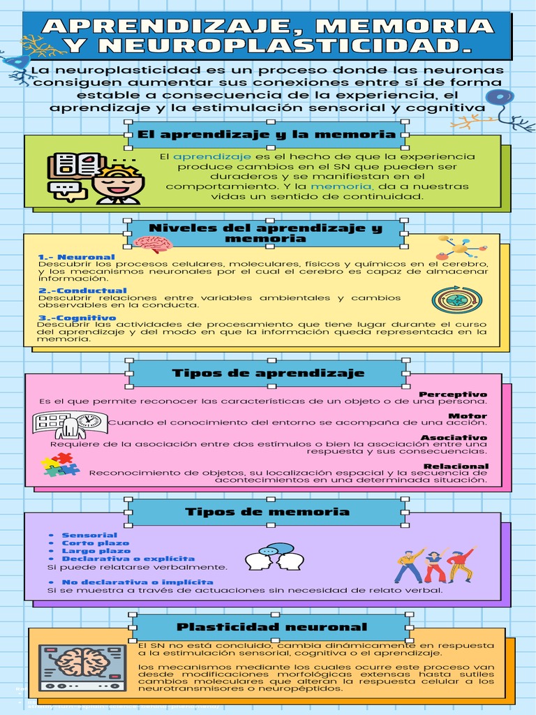 Aprendizaje, Memoria y Neuroplasticidad. | PDF | Aprendizaje | Memoria