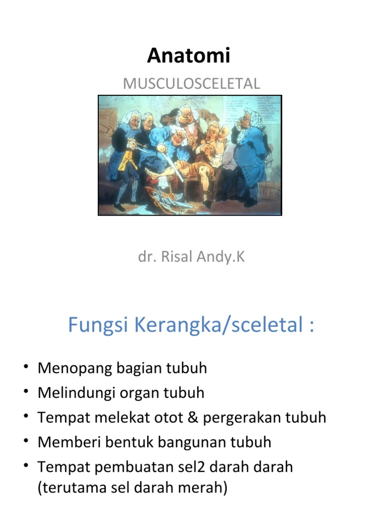 Anatomi Sistem Muskuloskeletal | PDF