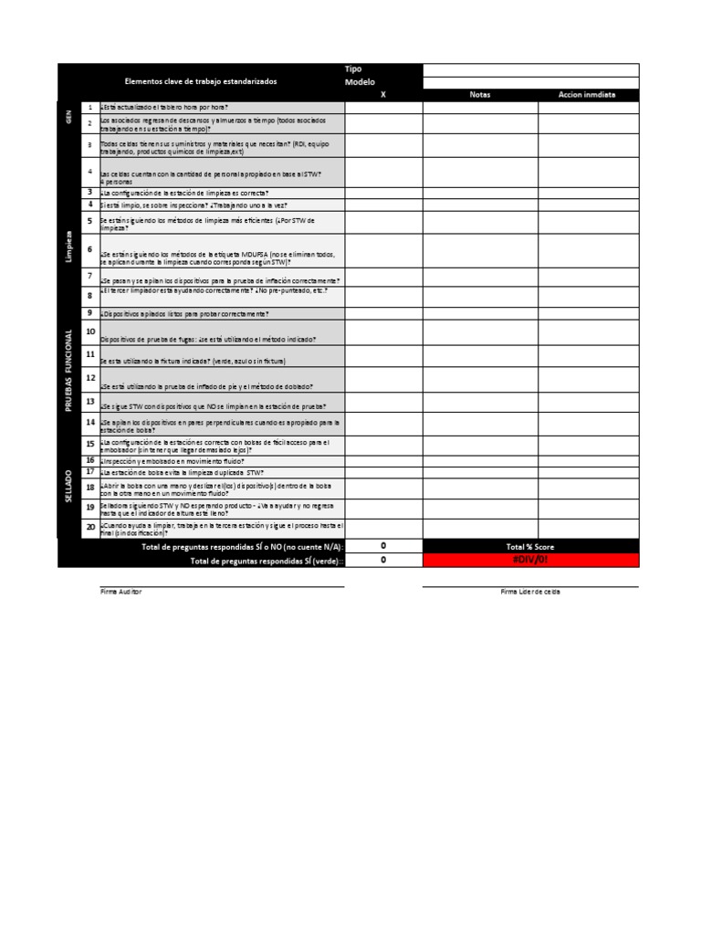 STW Audit Example | PDF