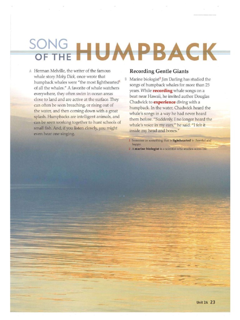 Song of The Humpback | PDF