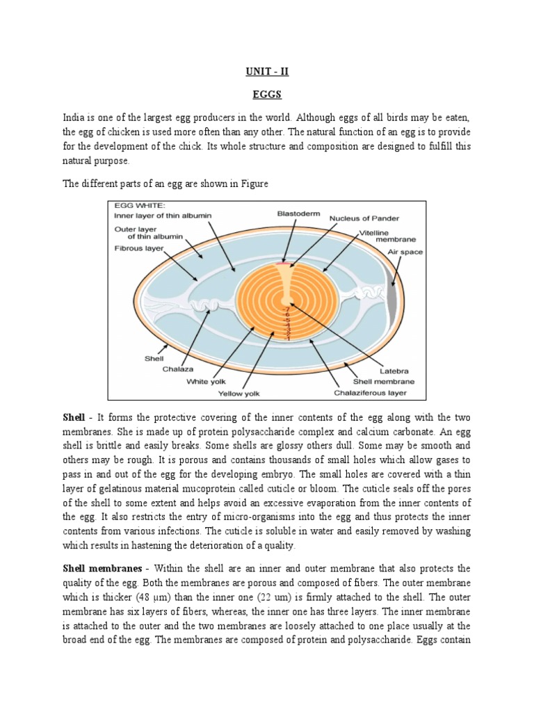 Unit - Ii Eggs | PDF
