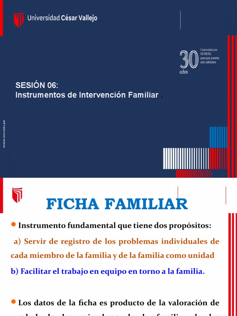 Sesion 6 Instrumentos de Intervención Familiar | PDF