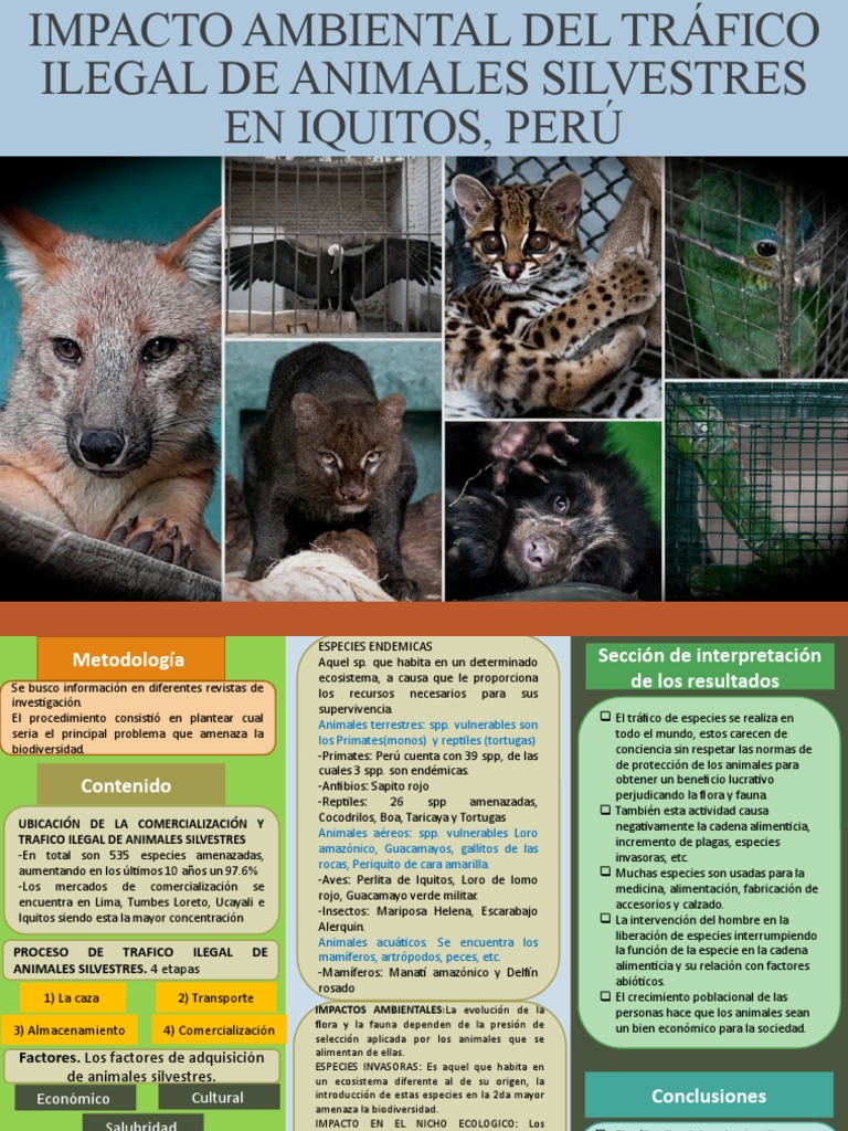 Expo - Trafico de Animales Silvestres | PDF