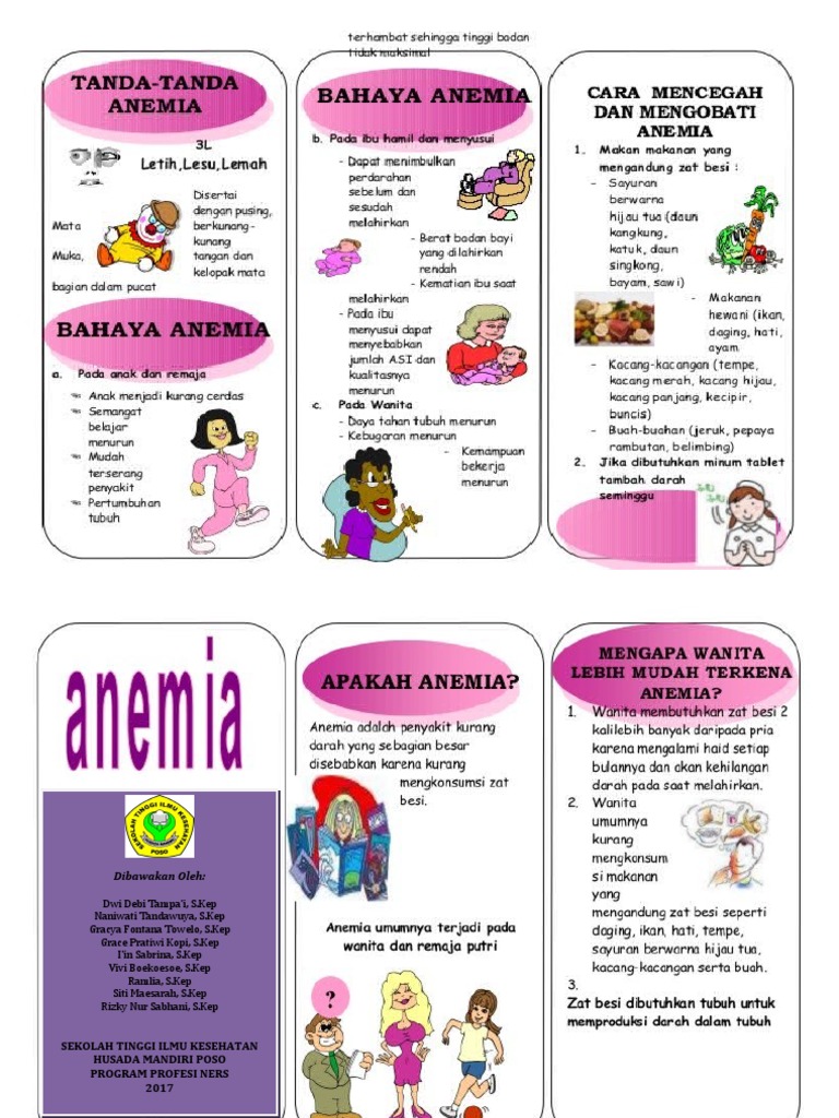 Leaflet Anemia | PDF