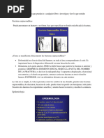 Clasificacion de Gartland 2 | PDF | Sistema musculoesquelético