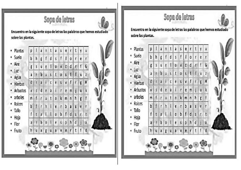 Sopa de Letras Partes de La Planta | PDF