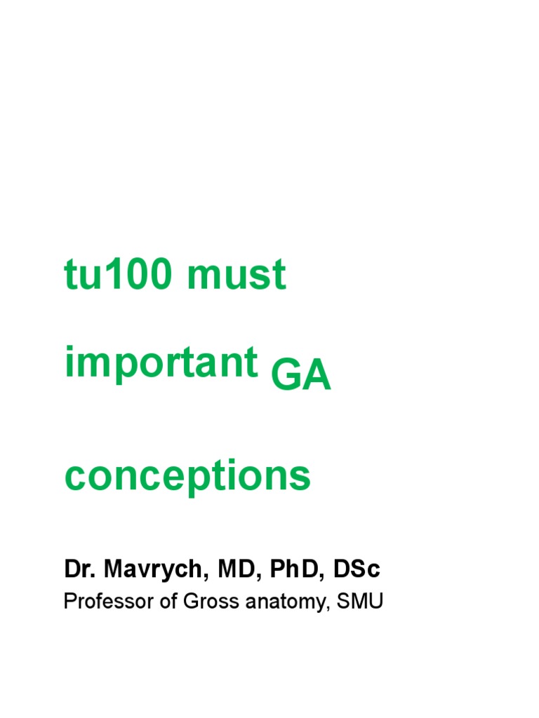 Anatomy Shelf Notes | PDF | Coronary Circulation | Knee
