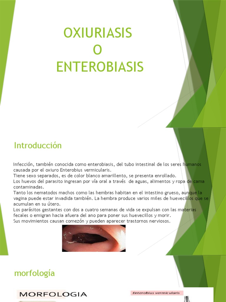 Unidad 4 Parasitos Intestinales (Oxiuriasis, Strongyloidiasis y ...