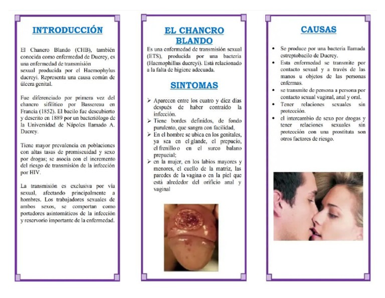 Triptico Chancro | PDF