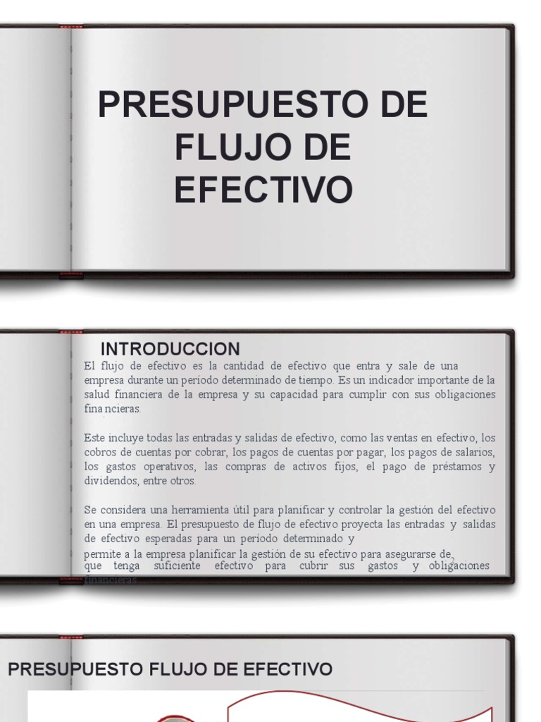 Presupuesto de Flujo de Efectivo | PDF | Presupuesto | Crédito