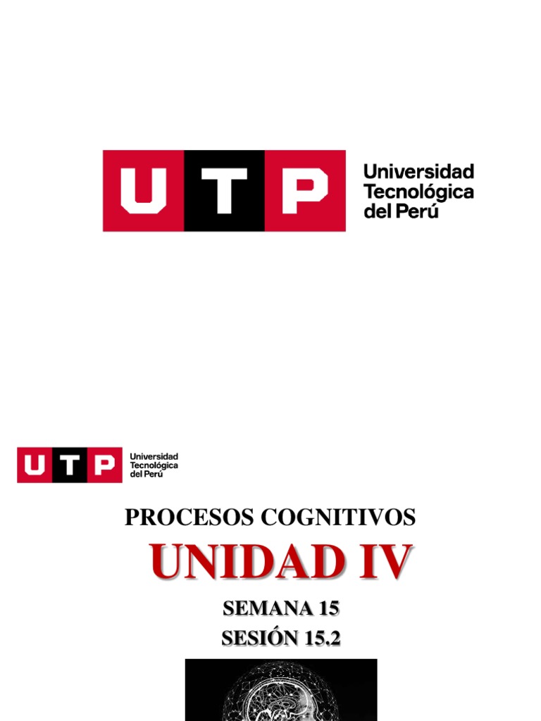 S15.s2 - Procesos Cognitivos Básicos | PDF | Memoria | Percepción
