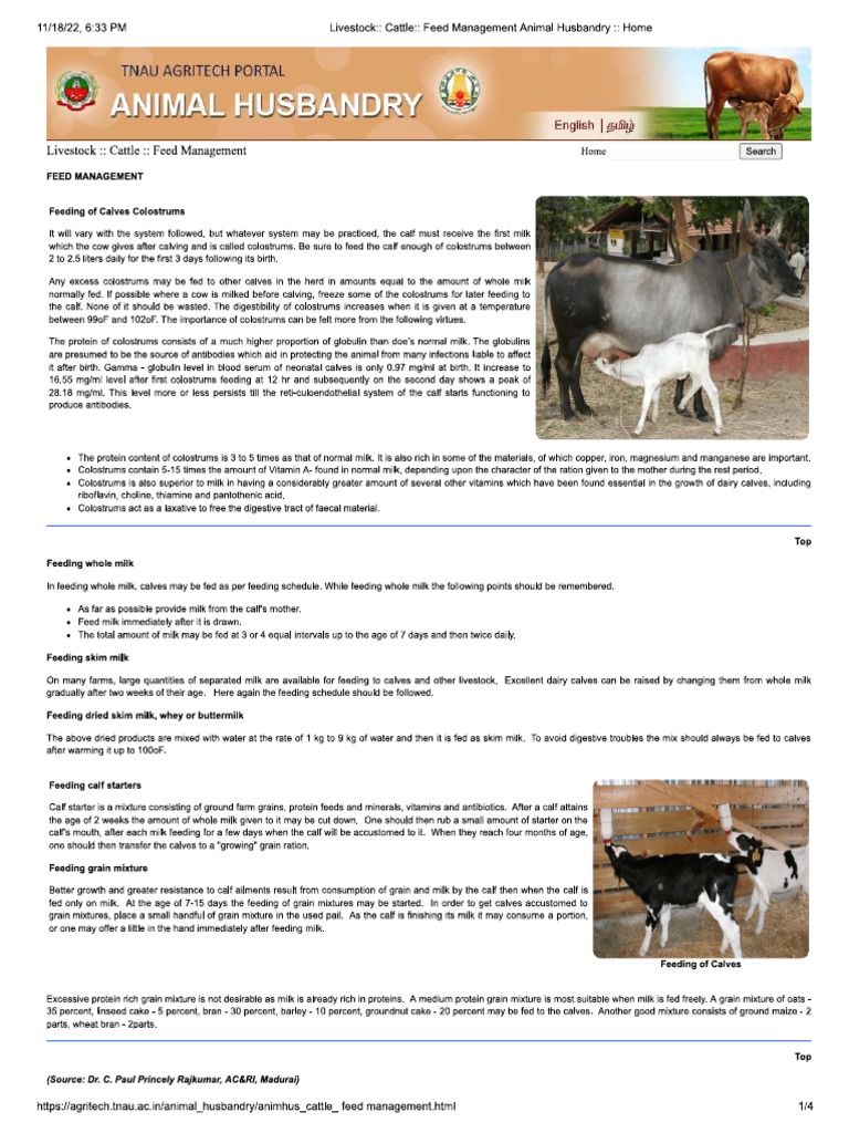 Feed Management Cow | PDF