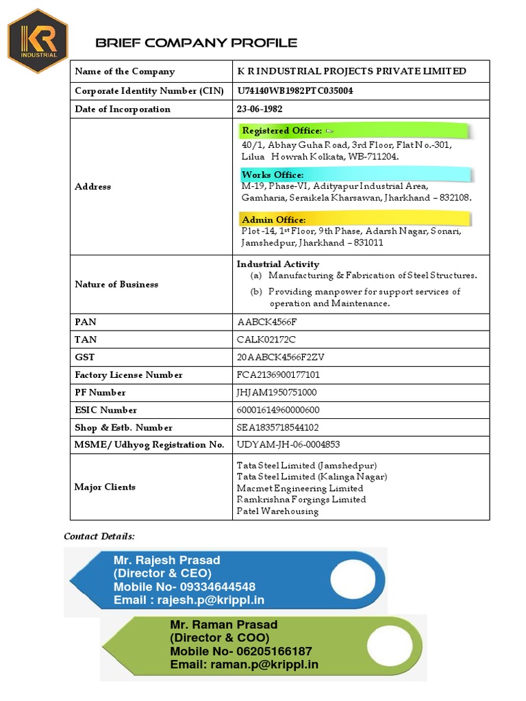 Brief Company Profile | PDF
