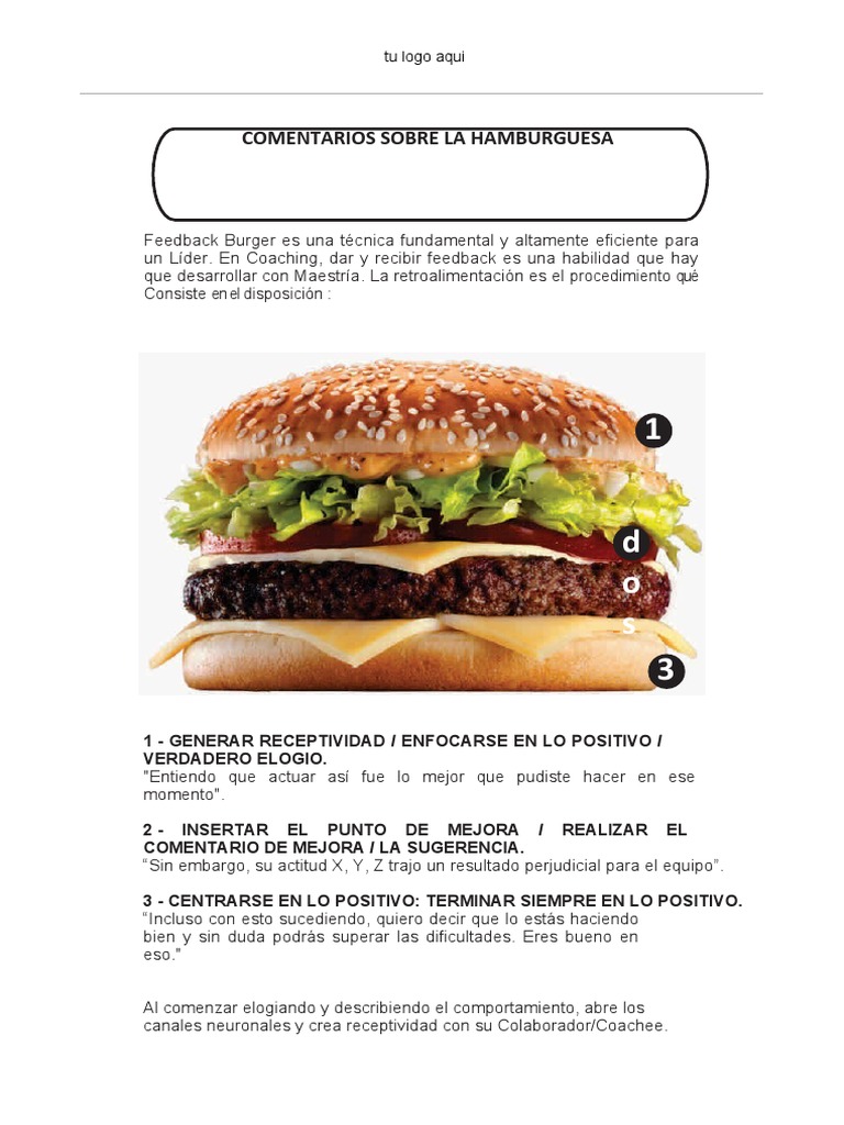 Feedback Burger | PDF